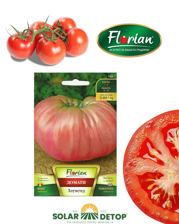 Tomate Homestead – Soi timpuriu, rezistent și productiv, cu fructe ...